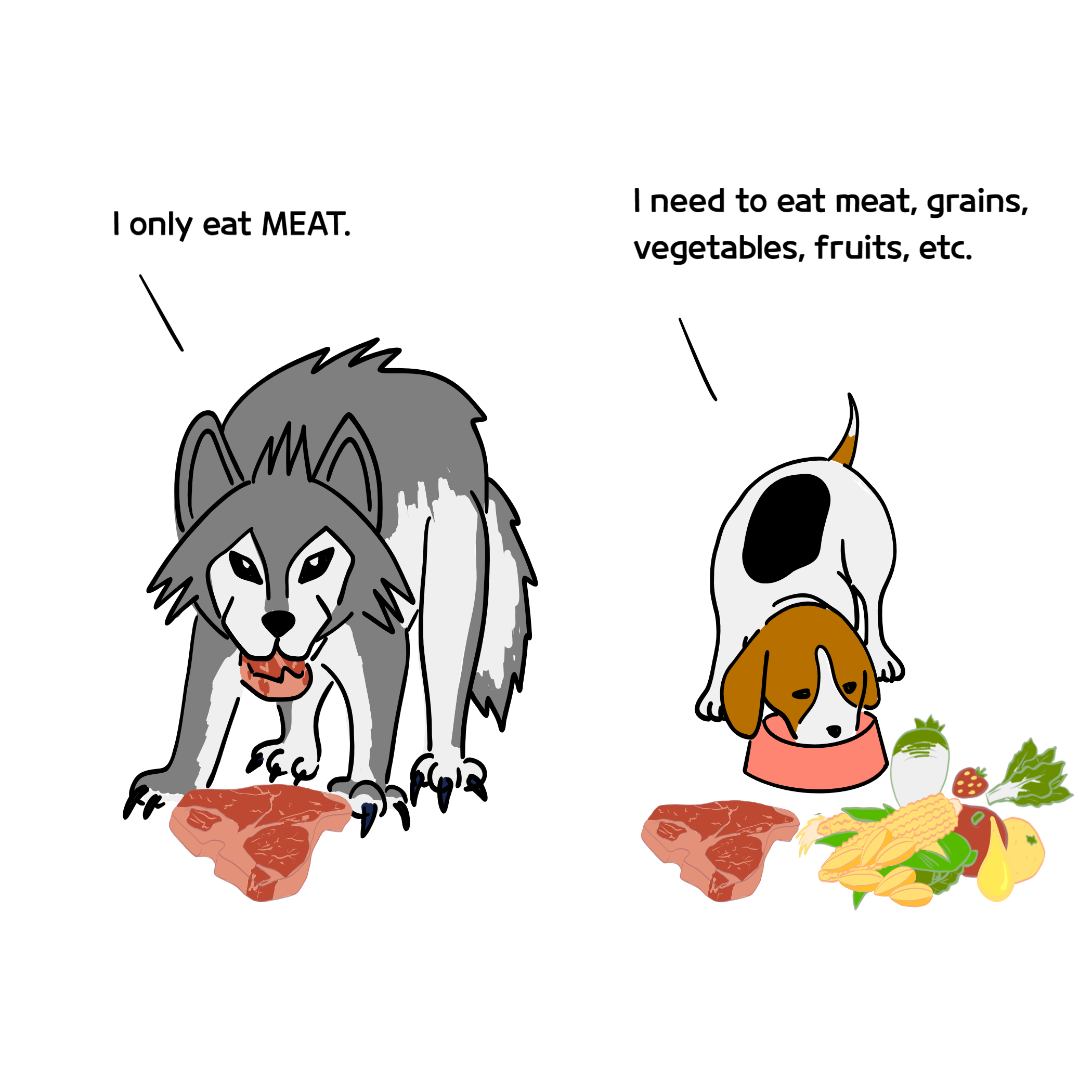 Understanding the Dog Digestive System and Foods Dogs Should Not Eat ...